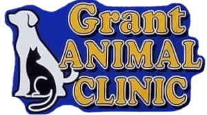New Clients at Grant Animal Clinic